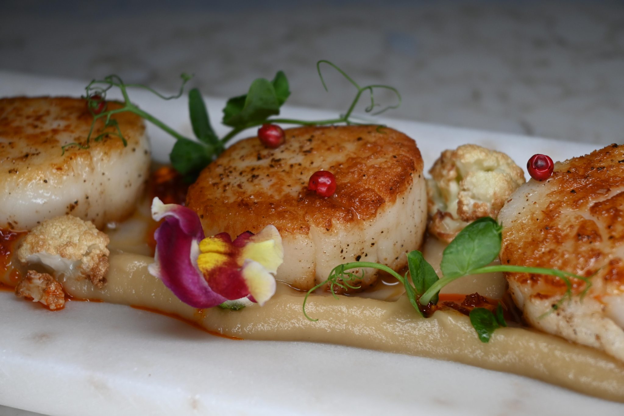 Blue Pearl NYC | Upscale Seafood & Asian Fusion Restaurant